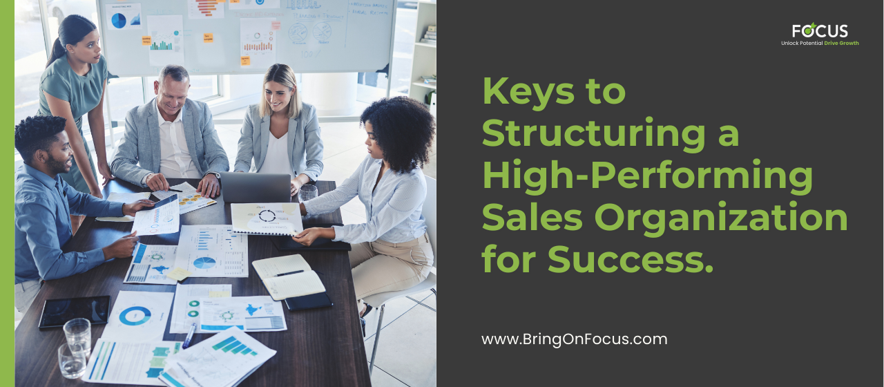 How To Structure A Sales Organization For Scalable Growth in 2025